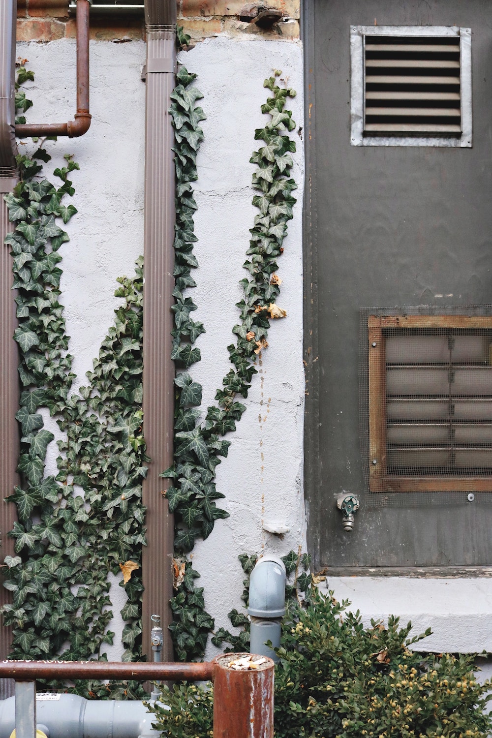 6 Essential Fall Tasks - PogoZone