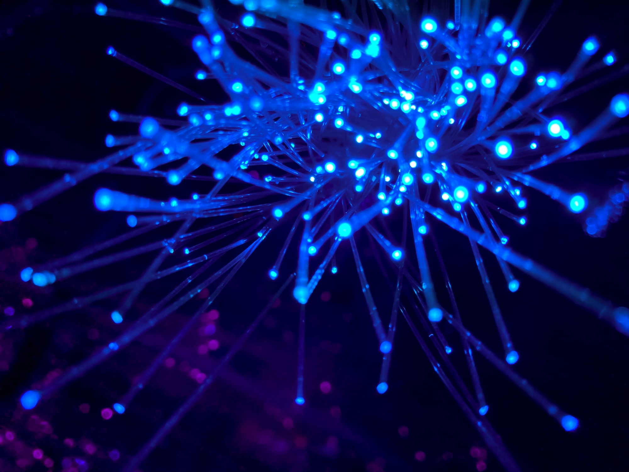 Whatcom & Skagit's Local Internet Service Provider | PogoZone